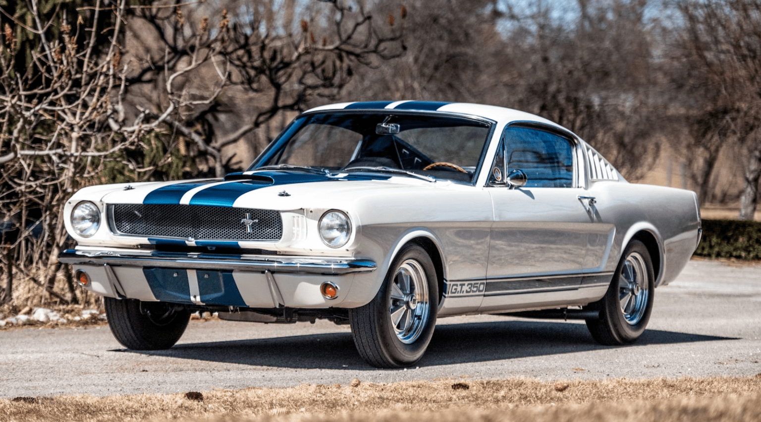 Shelby Mustang Models & News