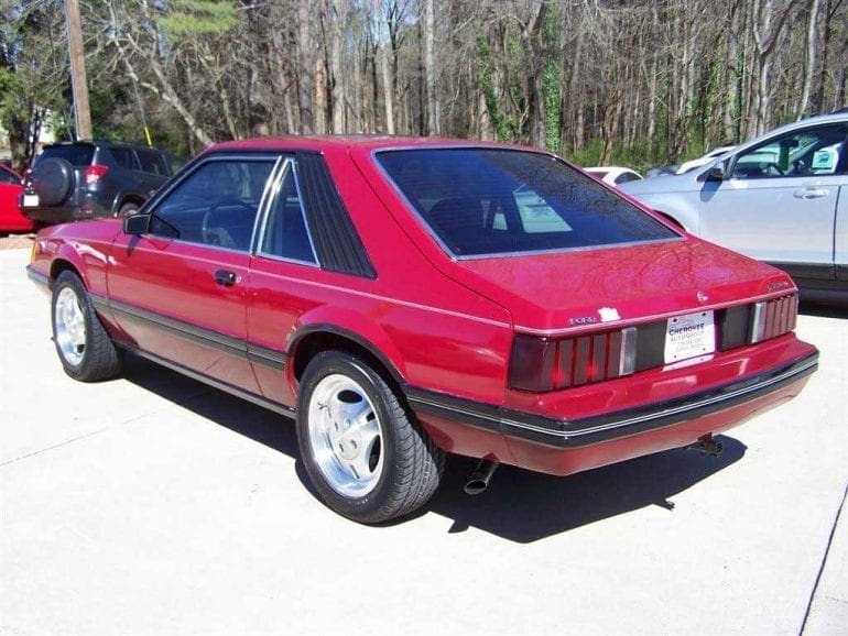1981 Ford Mustang Pictures