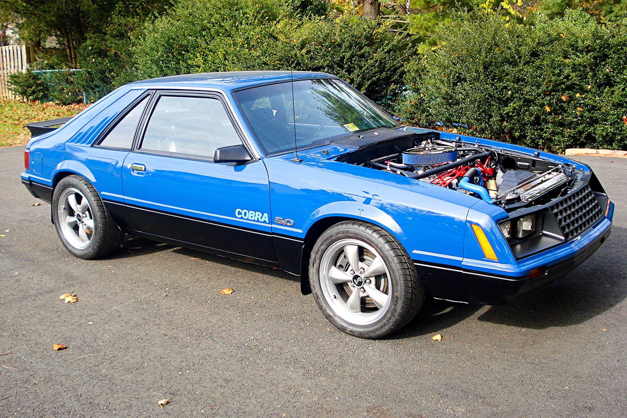 Medium Blue Glow 1979 Ford Mustang