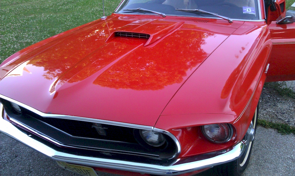 Flower Power Red 1969 Ford Mustang