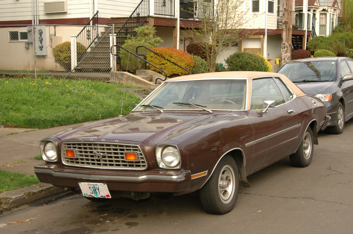 Ginger Glow (Dark Ginger) 1974 Ford Mustang
