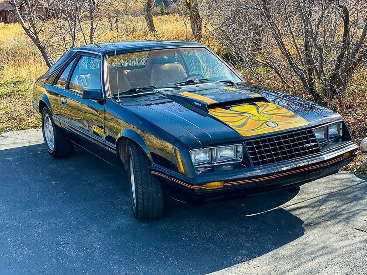 1979 Mustang Model Car Kit