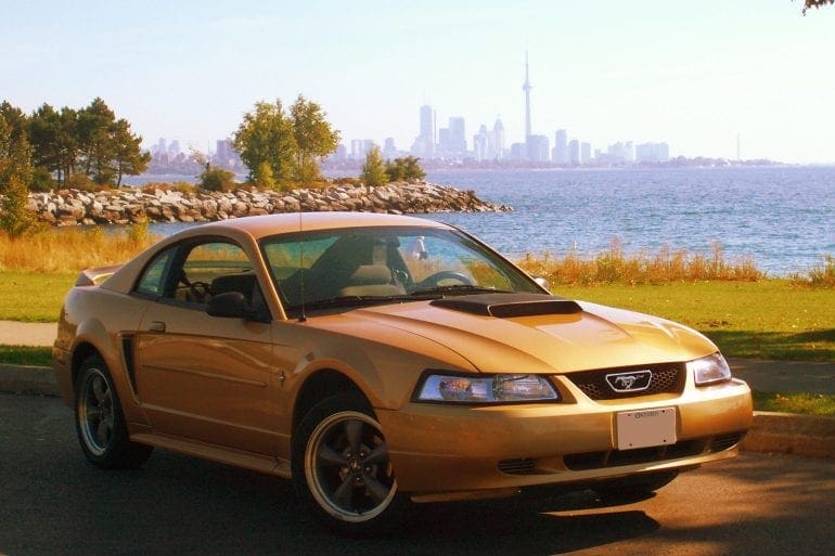 Gold Mustang Colors - The Ultimate Guide