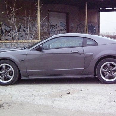 Mineral Gray 2003 Ford Mustang