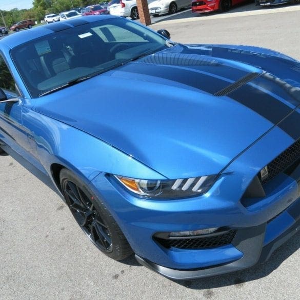 Performance Blue 2019 Ford Mustang