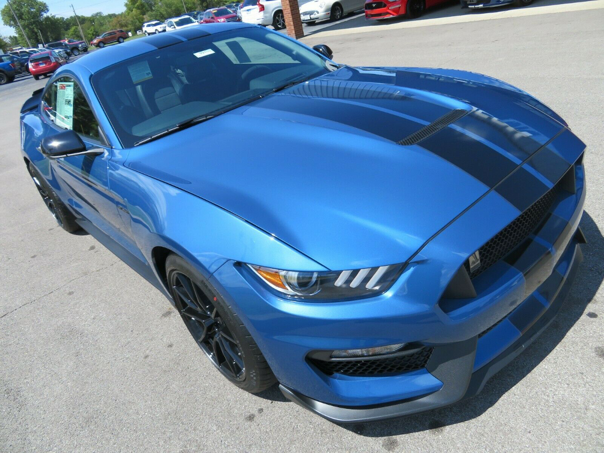 Performance Blue 2019 Ford Mustang