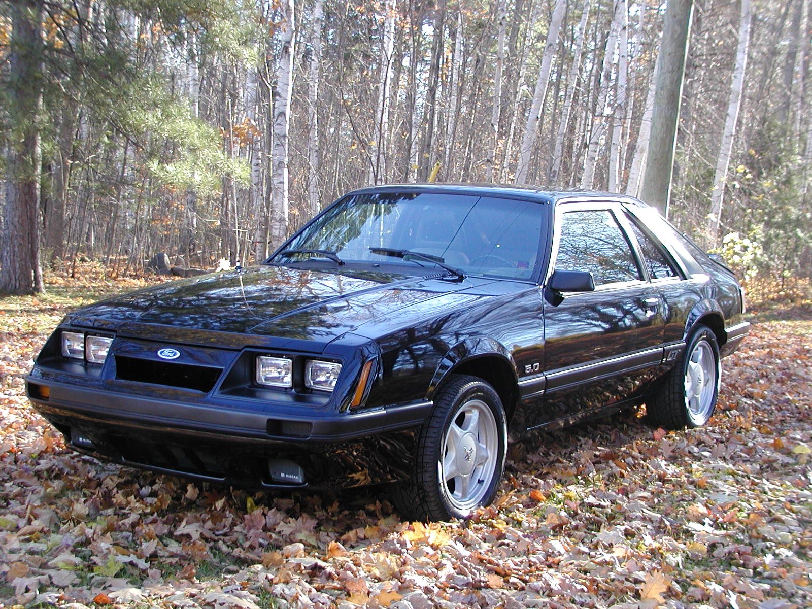 Black 1985 Ford Mustang