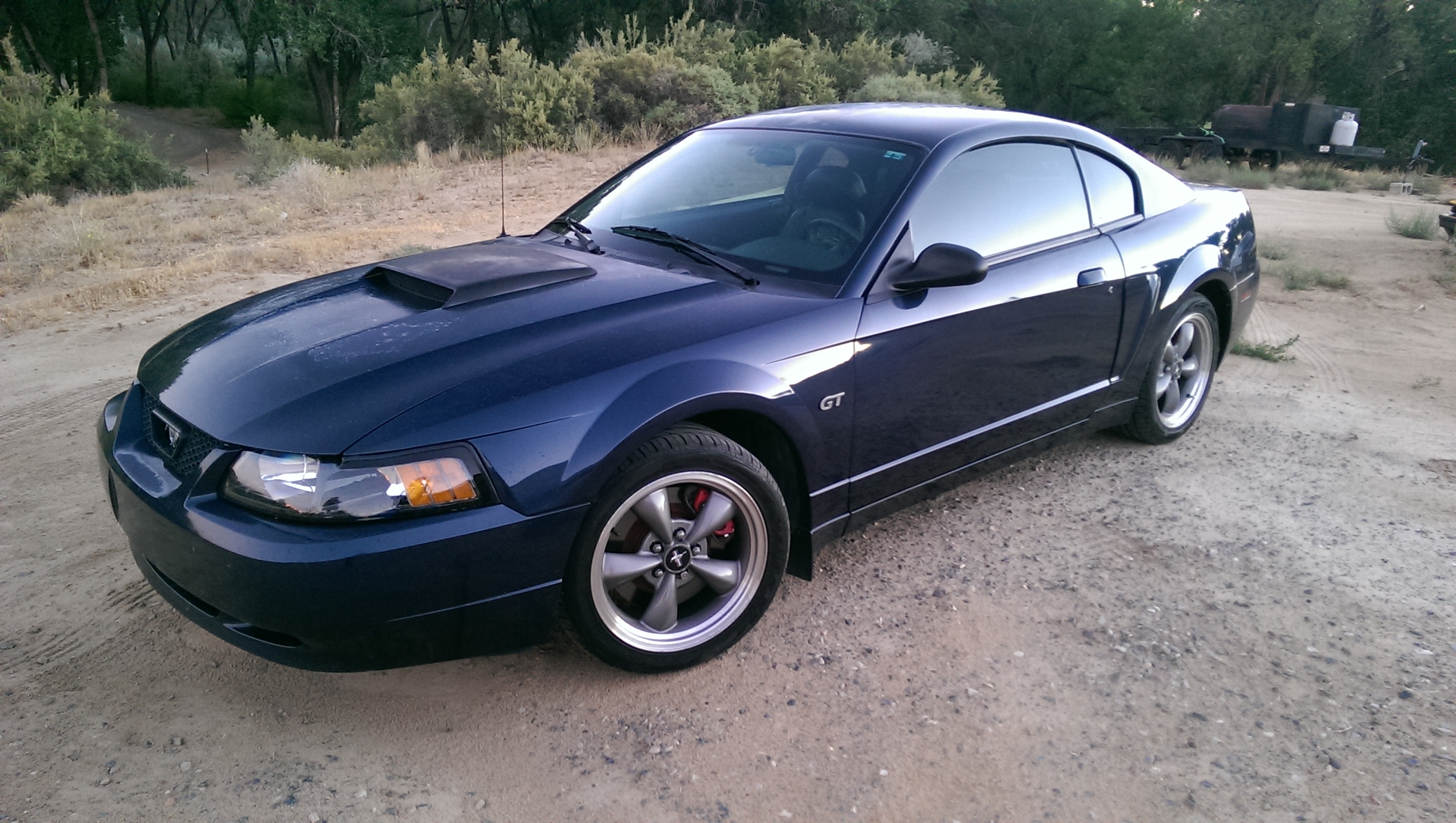 True Blue 2001 Ford Mustang