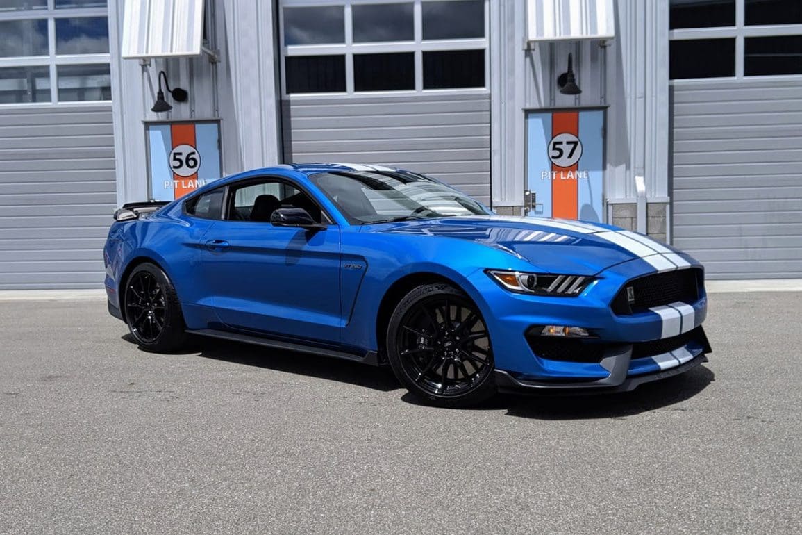 Blue Mustang Colors - The Ultimate Guide