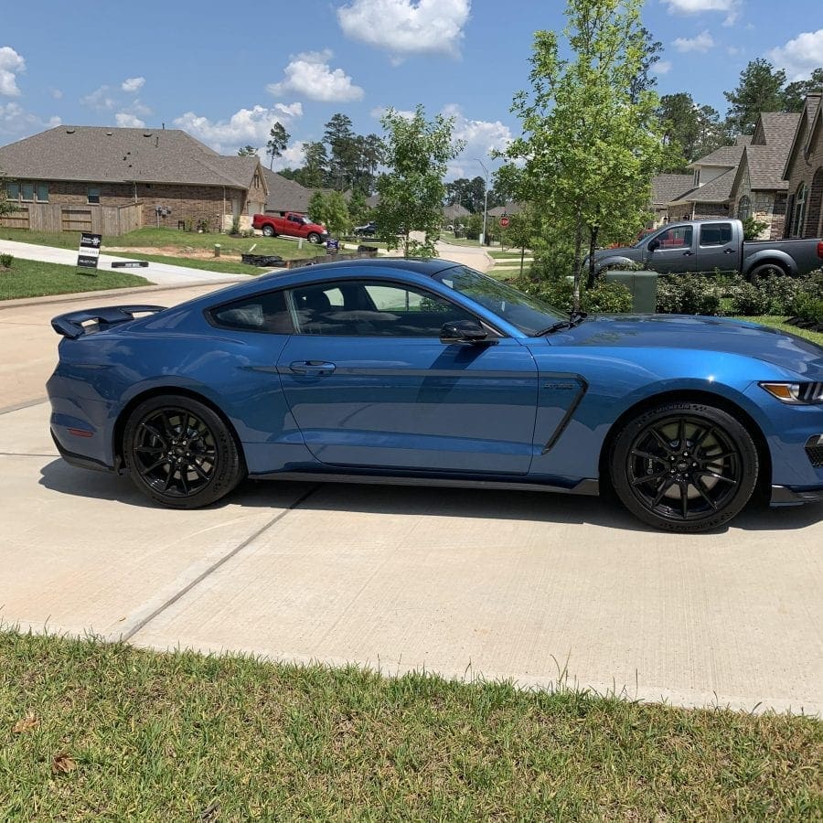 Performance Blue 2019 Ford Mustang