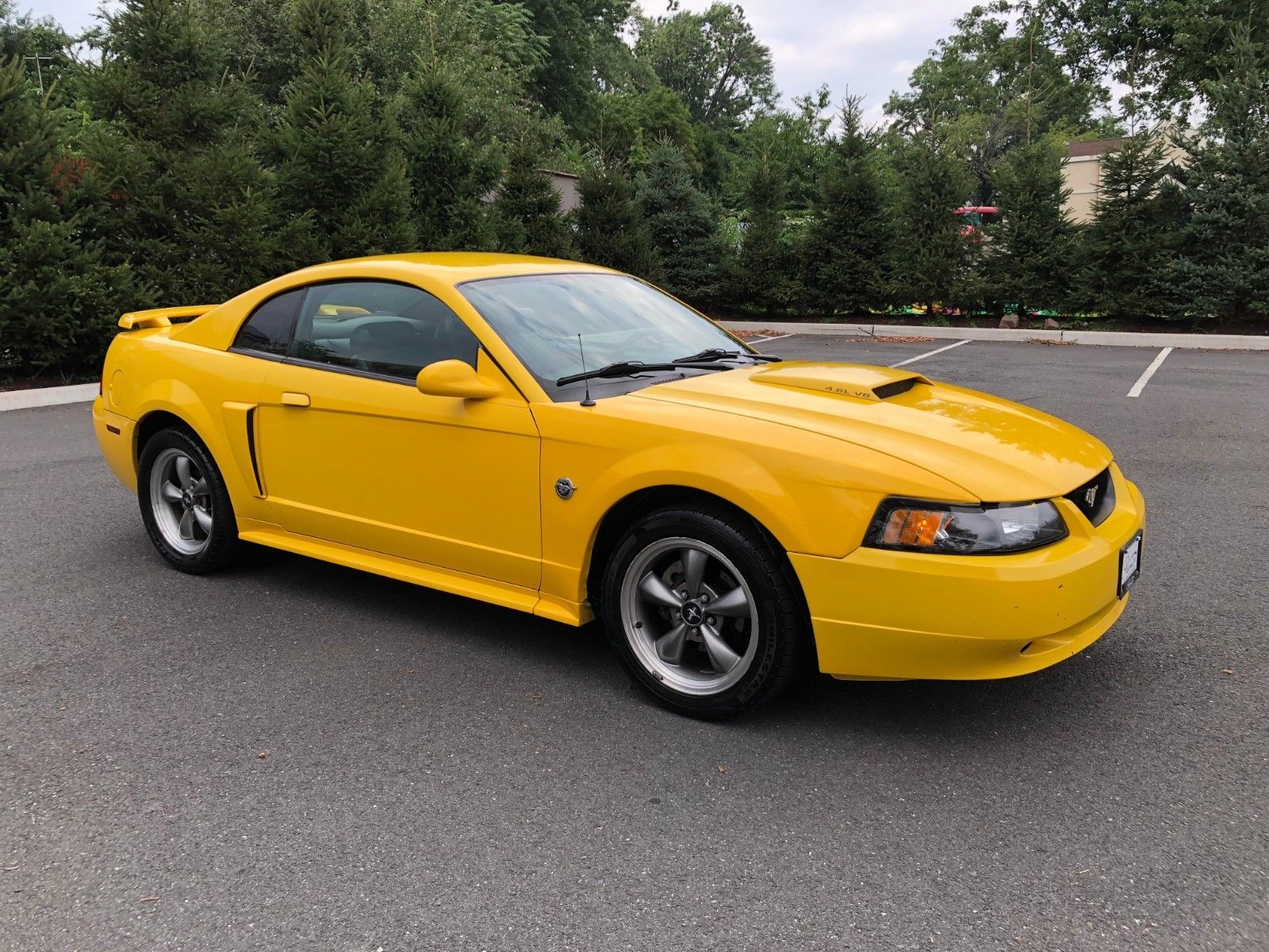 Screaming Yellow 2004 Ford Mustang