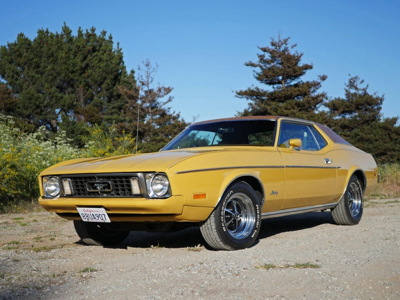 1973 Ford Mustang: Ultimate In-Depth Guide