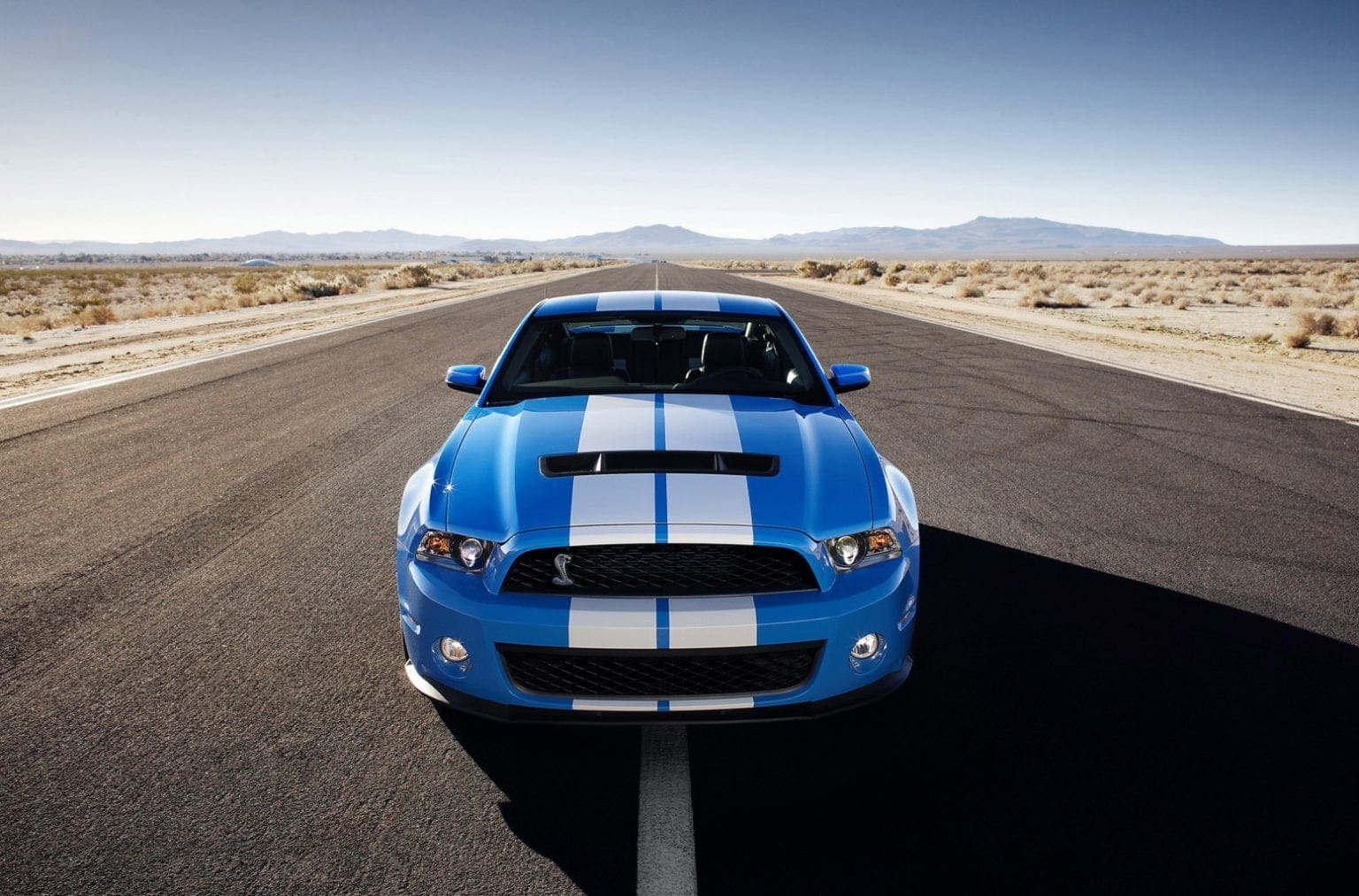 2010 Ford Mustang Shelby GT-500: Ultimate Guide