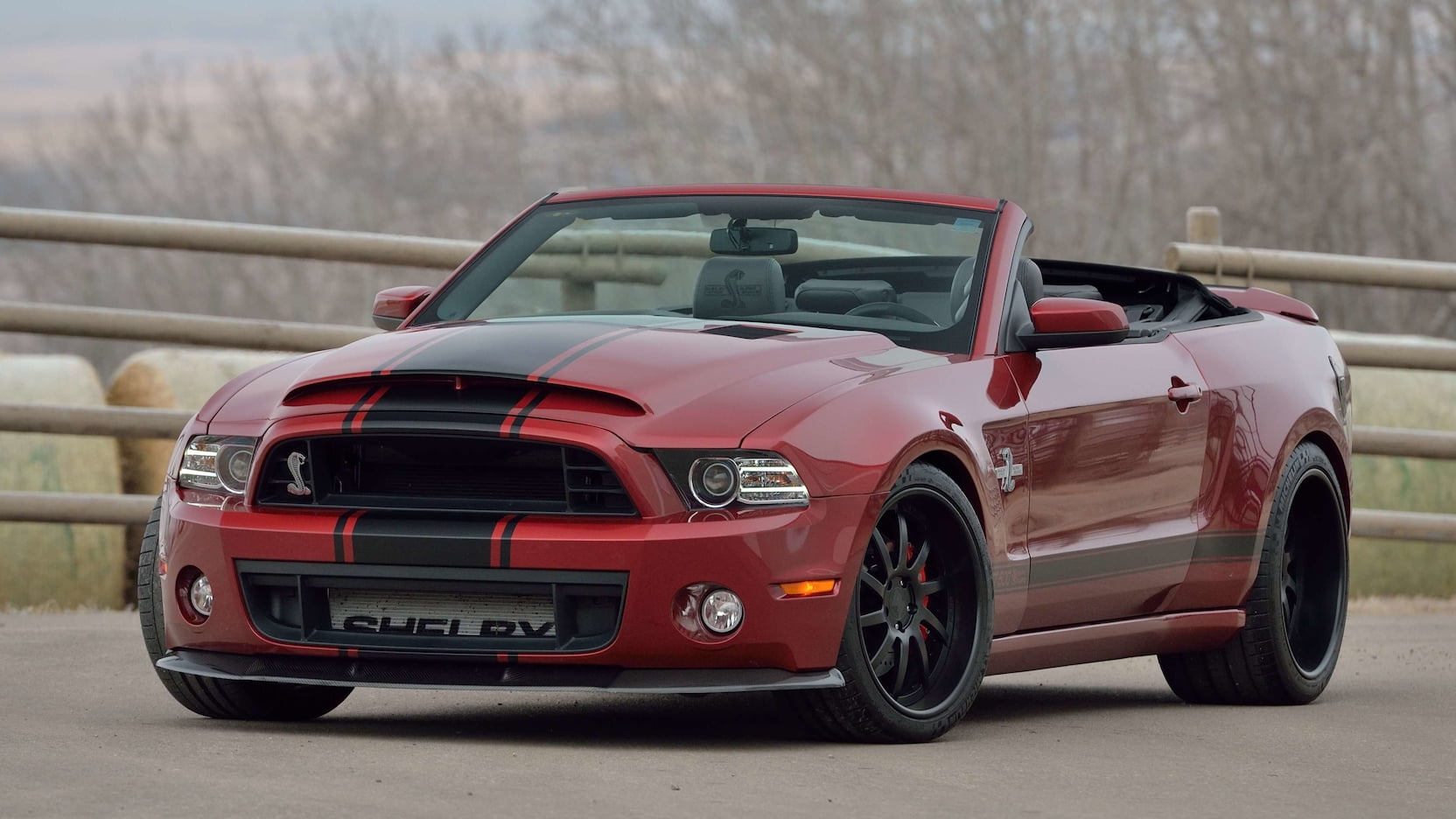 2014 Ford Mustang Shelby GT500 Super Snake: Ultimate Guide