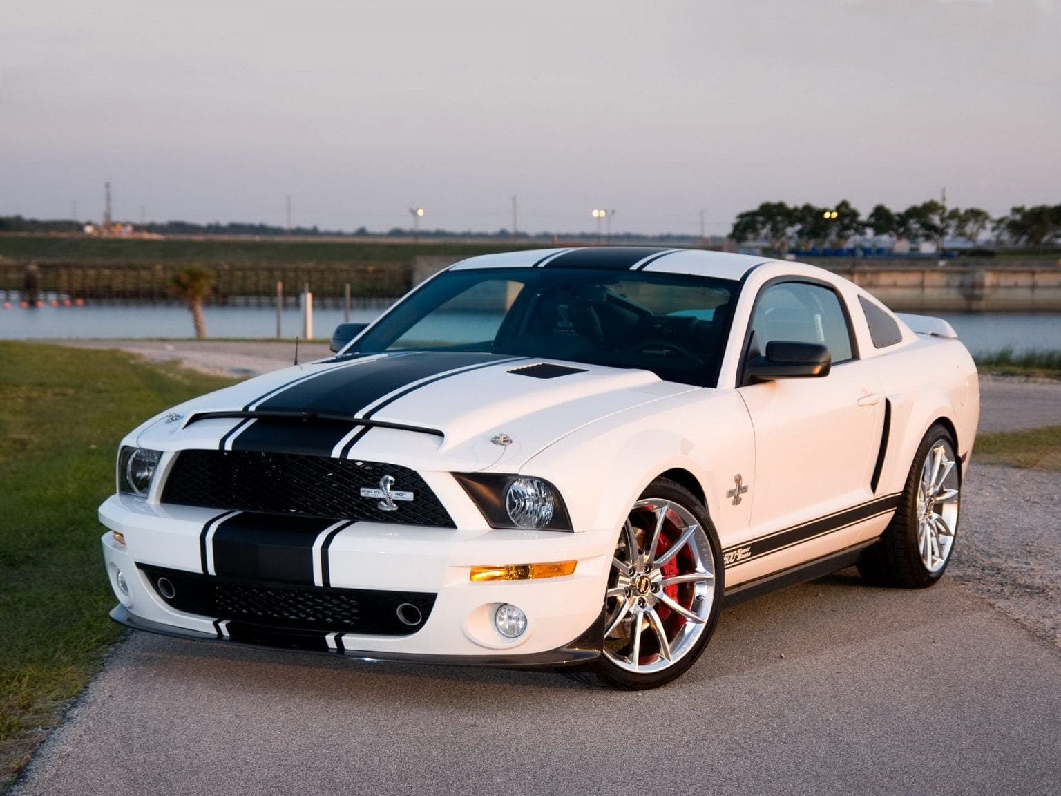 2008 Ford Mustang Shelby GT500 Super Snake Wallpapers | MustangSpecs.com 2008 Ford Mustang Shelby GT500 Super Snake Wallpapers | MustangSpecs.com