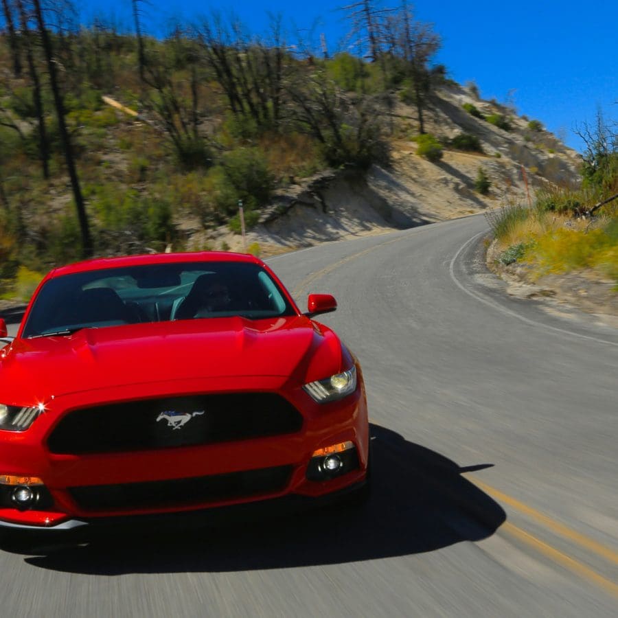 2015 Ford Mustang Options