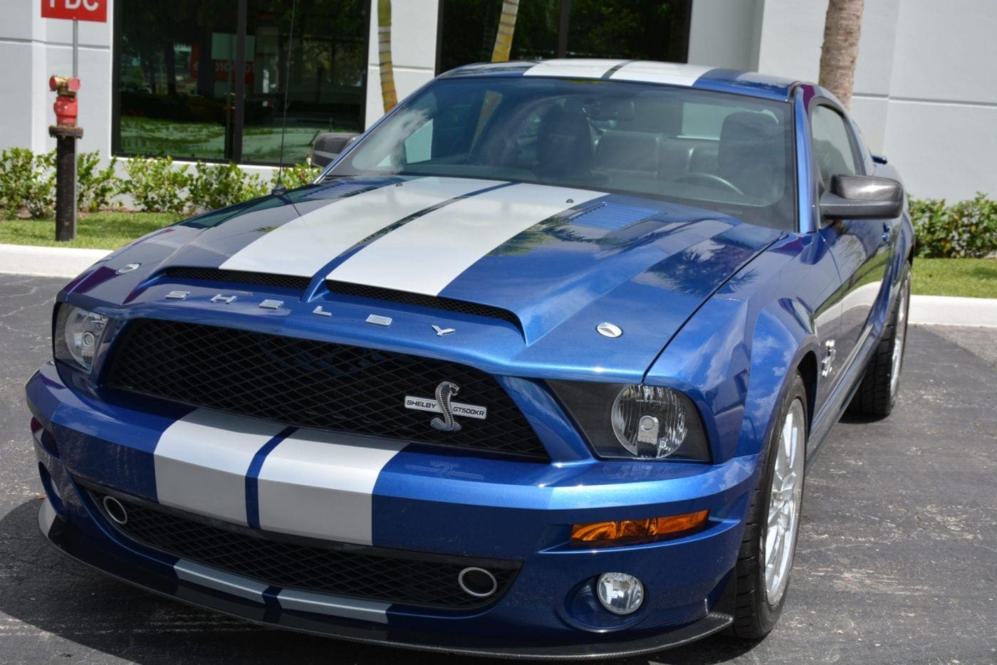 2009 Ford Mustang Shelby GT500KR Wallpapers | MustangSpecs.com