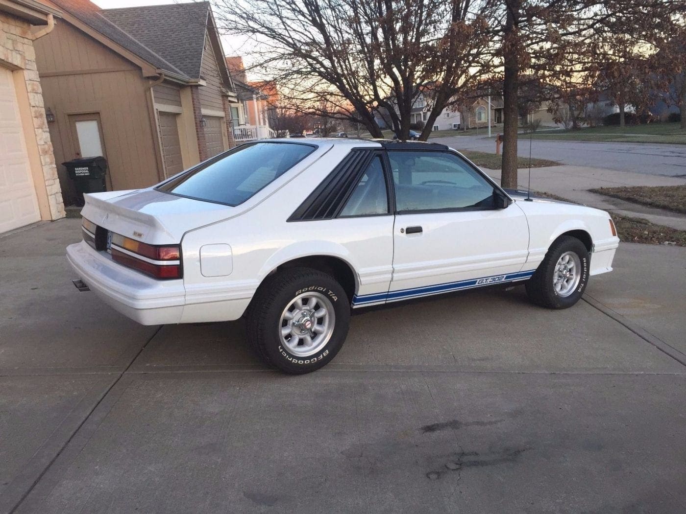 1984 Predator Mustang Wallpapers | MustangSpecs.com