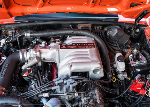 The Foxbody Mustang Buying Guide