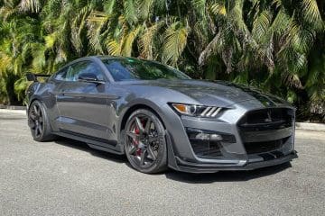 Gray Mustang Colors - The Ultimate Guide