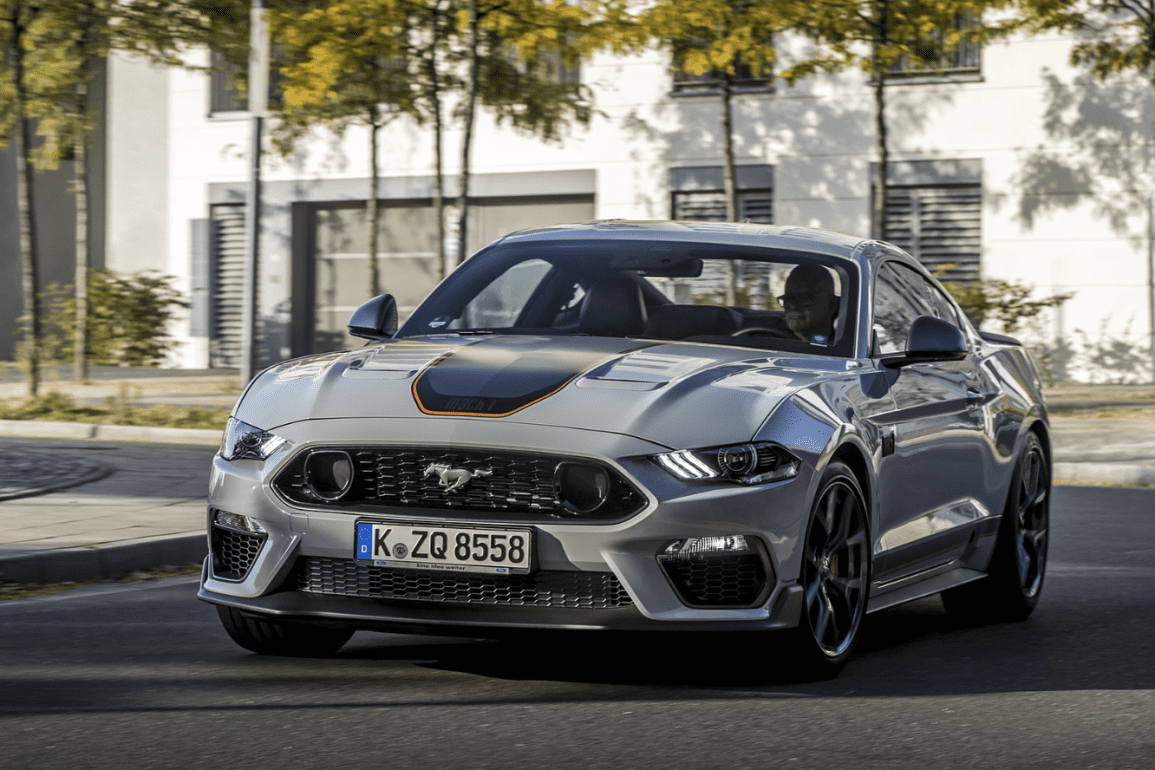 Gray Mustang Colors - The Ultimate Guide