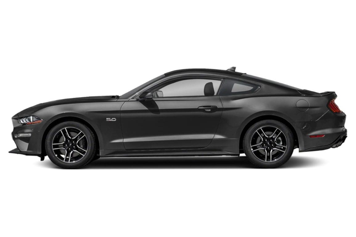 Gray Mustang Colors - The Ultimate Guide