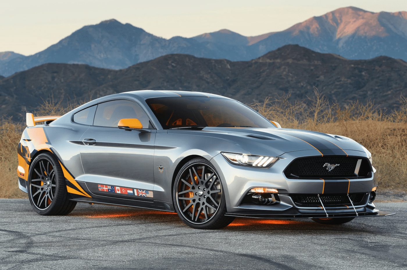 2014 Ford Mustang Club of America Special Edition: Ultimate Guide