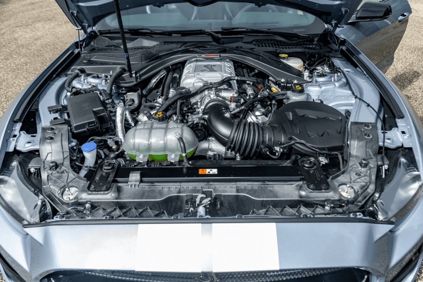 Limited Edition 2022 Ford Mustang Shelby GT500 Now Available On Bring A ...
