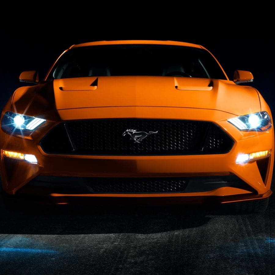 8 Ways to Care for Your Mustang (In, Out, and Everything Else ...