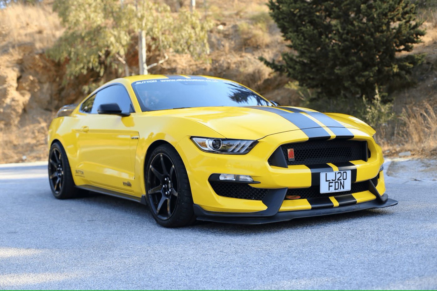 Reckless female driver destroys Shelby GT500 and miraculously survives ...