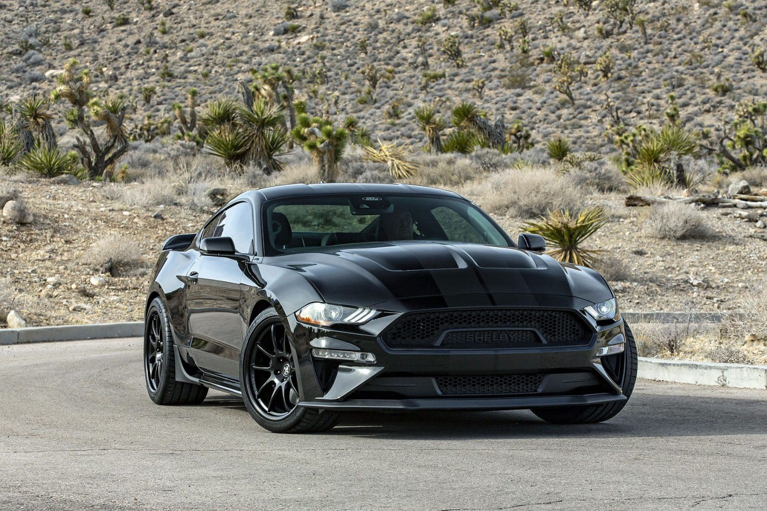 Unveiled: 2023 Carroll Shelby Centennial Edition Mustang - Mustang Specs