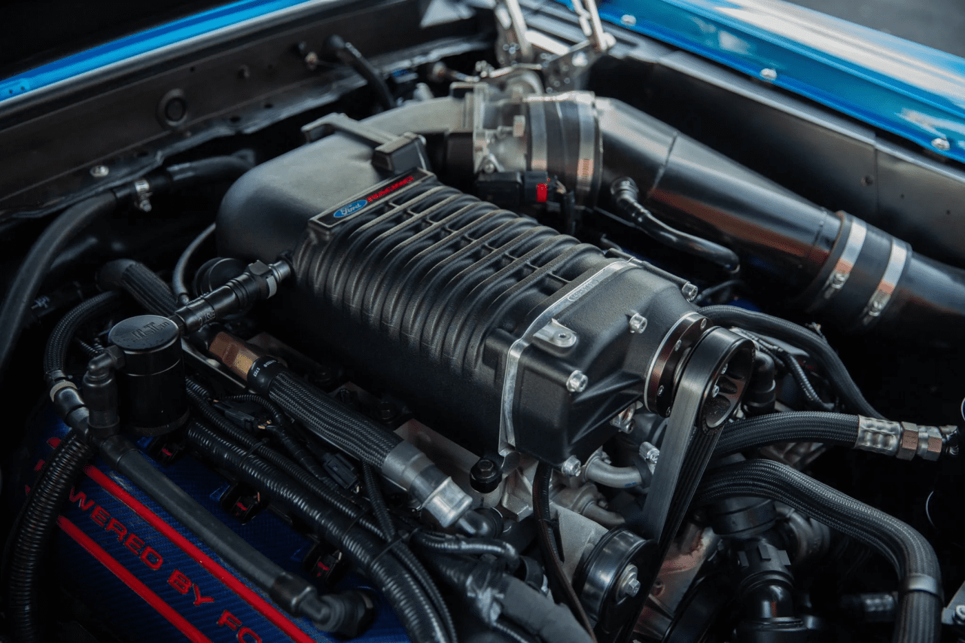 Mustang Of The Day: Modified 1969 Ford Mustang Fastback - Mustang Specs