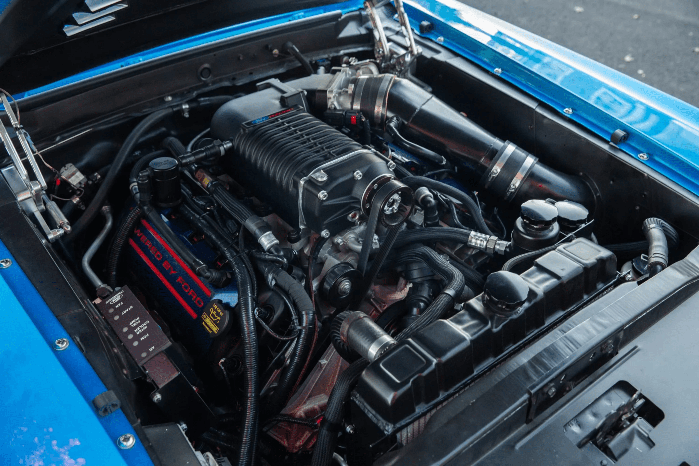 Mustang Of The Day: Modified 1969 Ford Mustang Fastback - Mustang Specs