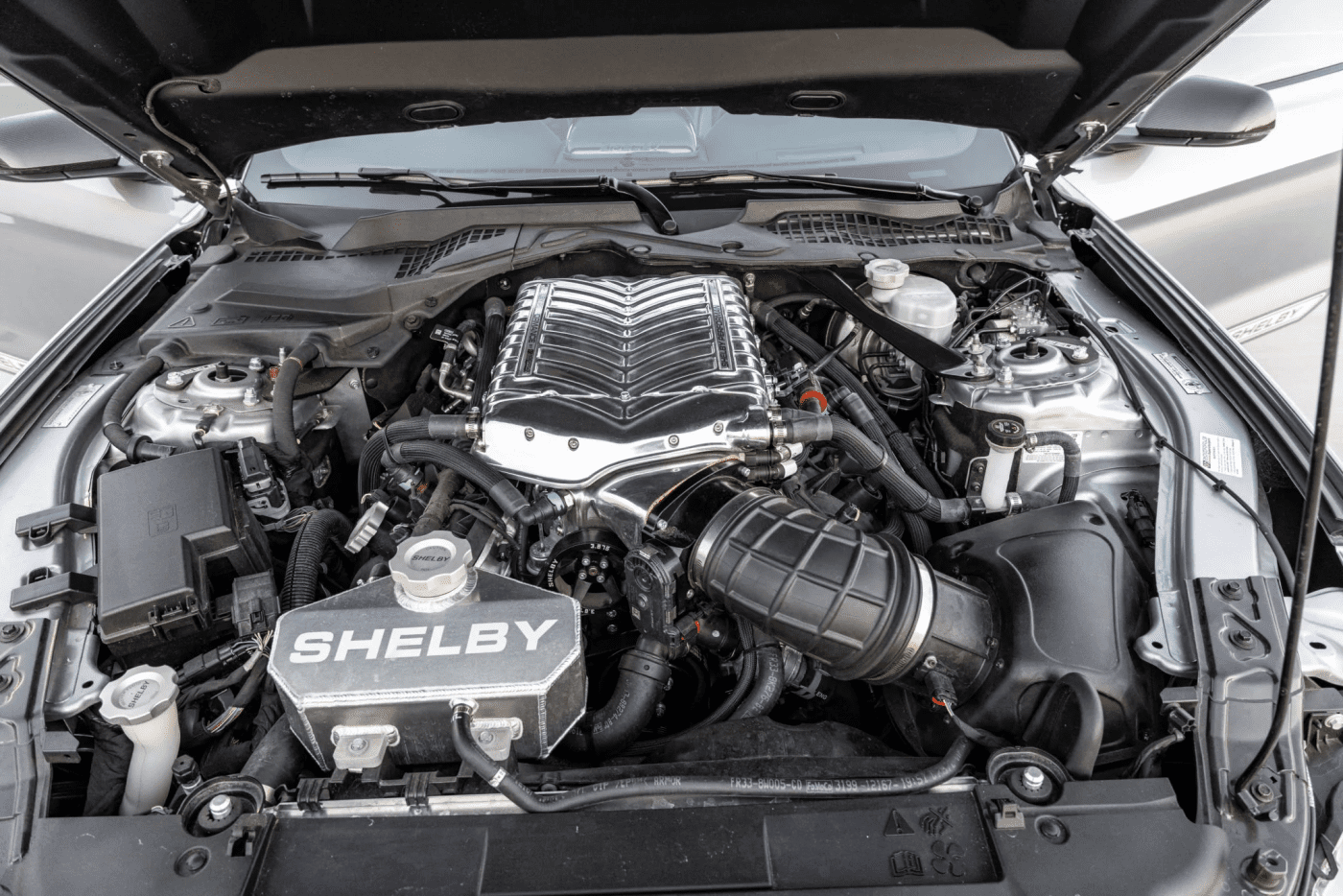 Mustang Of The Day: 2020 Ford Mustang GT Shelby Signature Edition ...