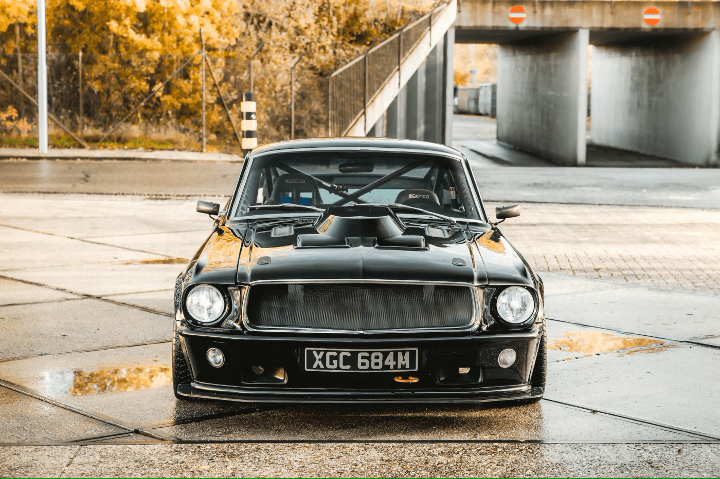 Mustang Of The Day: Highly Modified 1967 Ford Mustang Fastback ...