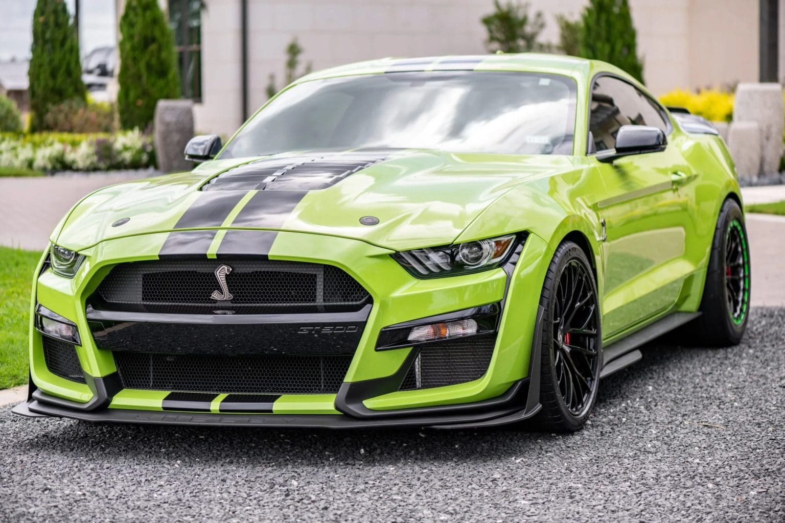 1968 Cobra Mustang Archives - Mustang Specs