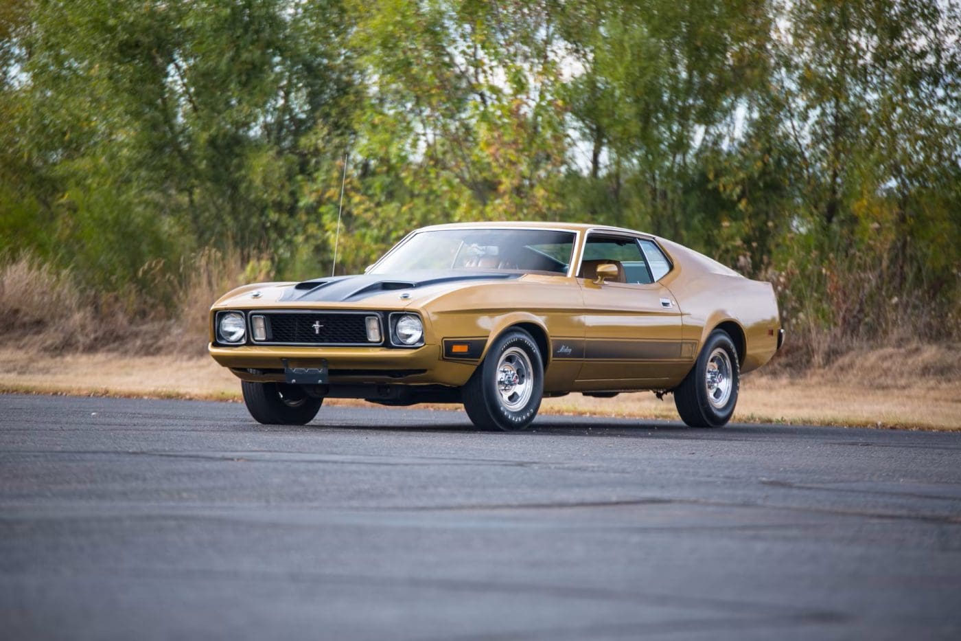 Ford Mustang Mach 1 - Mustang Specs