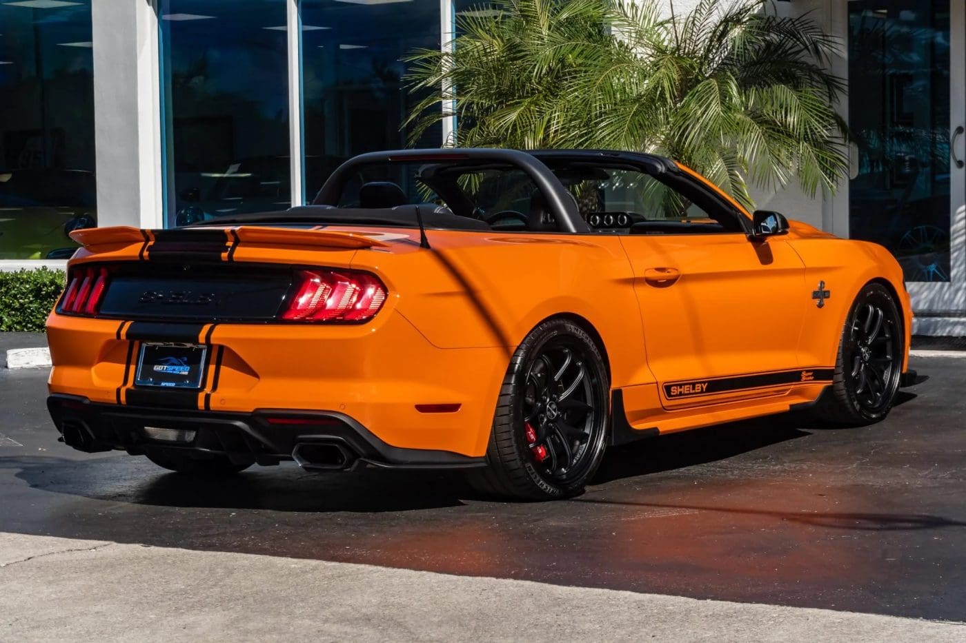Mustang Of The Day: 2020 Ford Mustang Shelby Super Snake Bold Edition ...