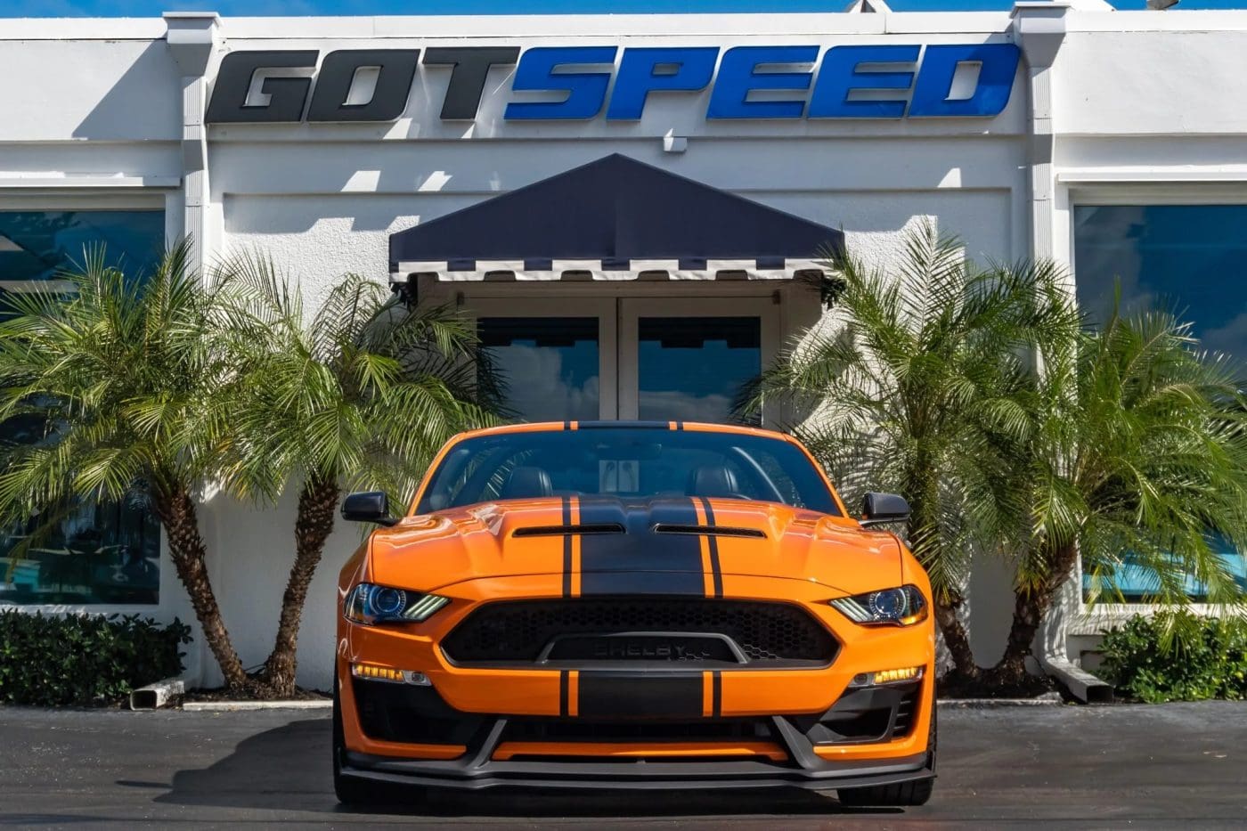 Mustang Of The Day: 2020 Ford Mustang Shelby Super Snake Bold Edition ...
