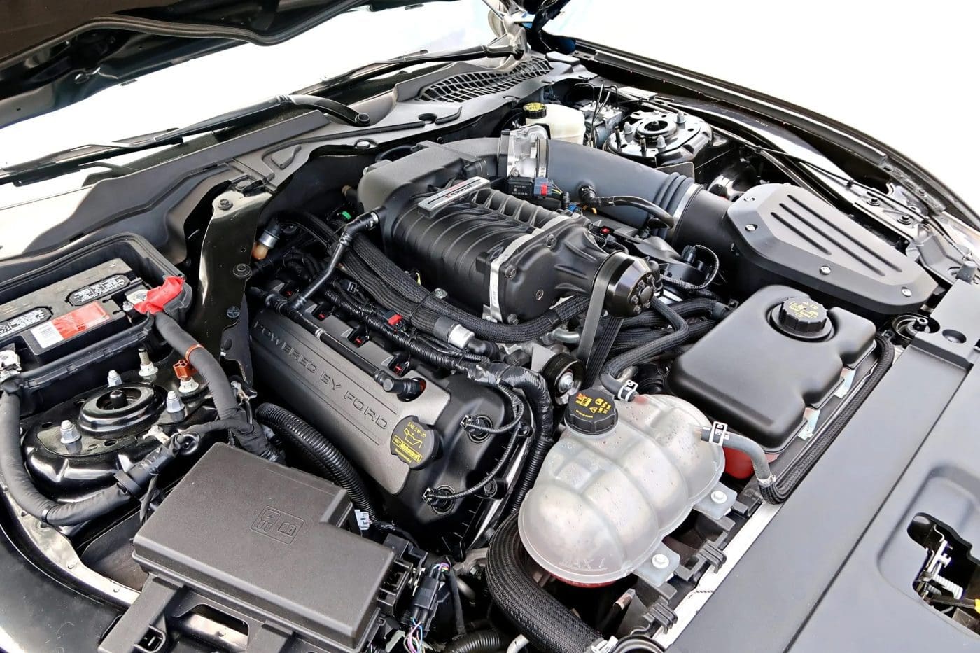 Mustang Of The Day: 2015 Ford Mustang GT Premium Petty’s Garage Stage 2 ...