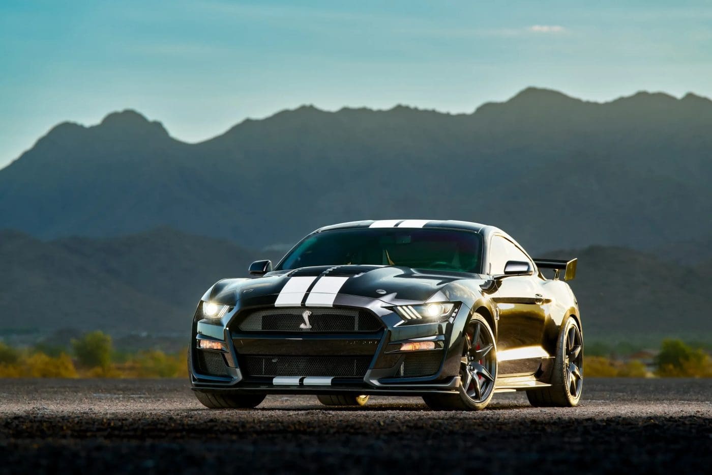 Mustang Of The Day 2020 Ford Mustang Shelby Gt500 Carbon Fiber Track