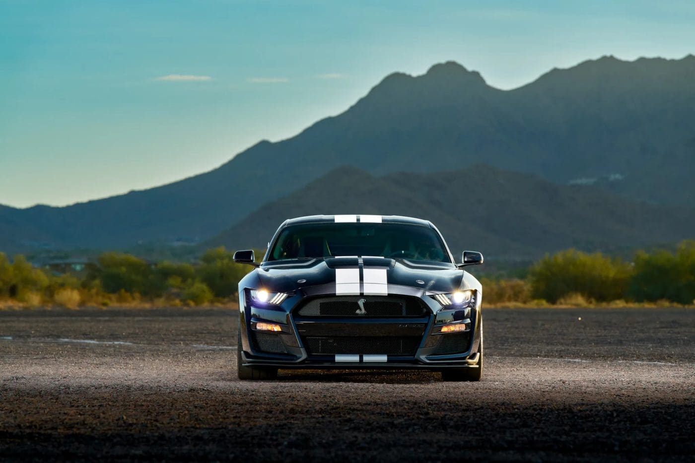 Mustang Of The Day 2020 Ford Mustang Shelby Gt500 Carbon Fiber Track