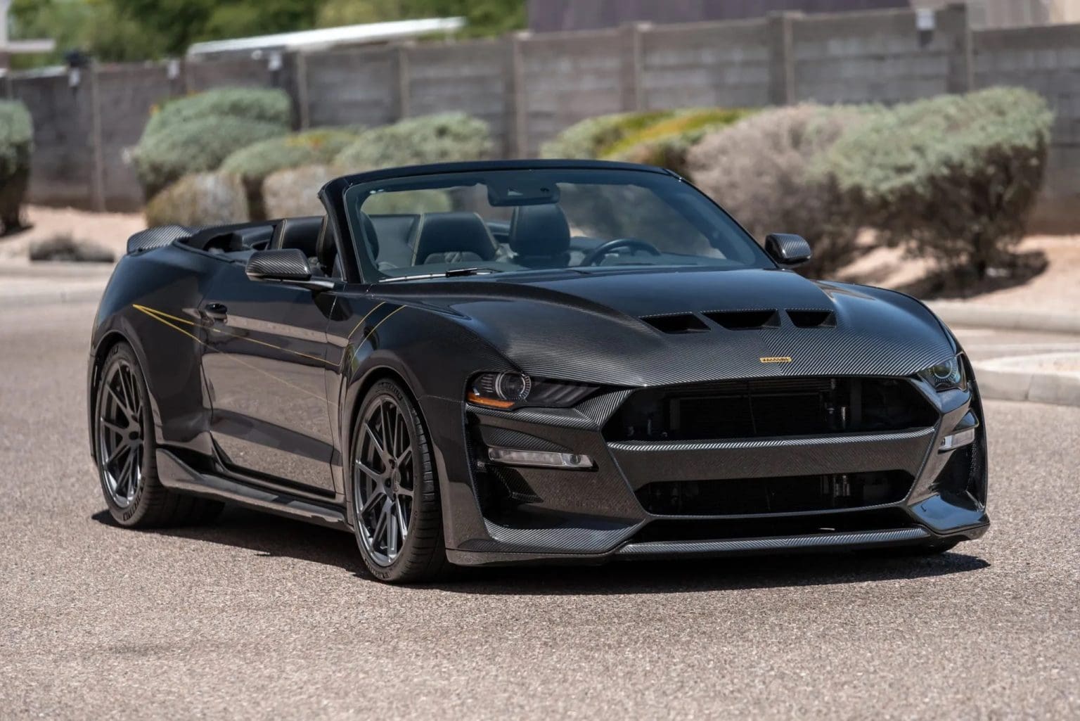 Mustang Of The Day: 2019 Ford Mustang Revenge GT Convertible - Mustang ...