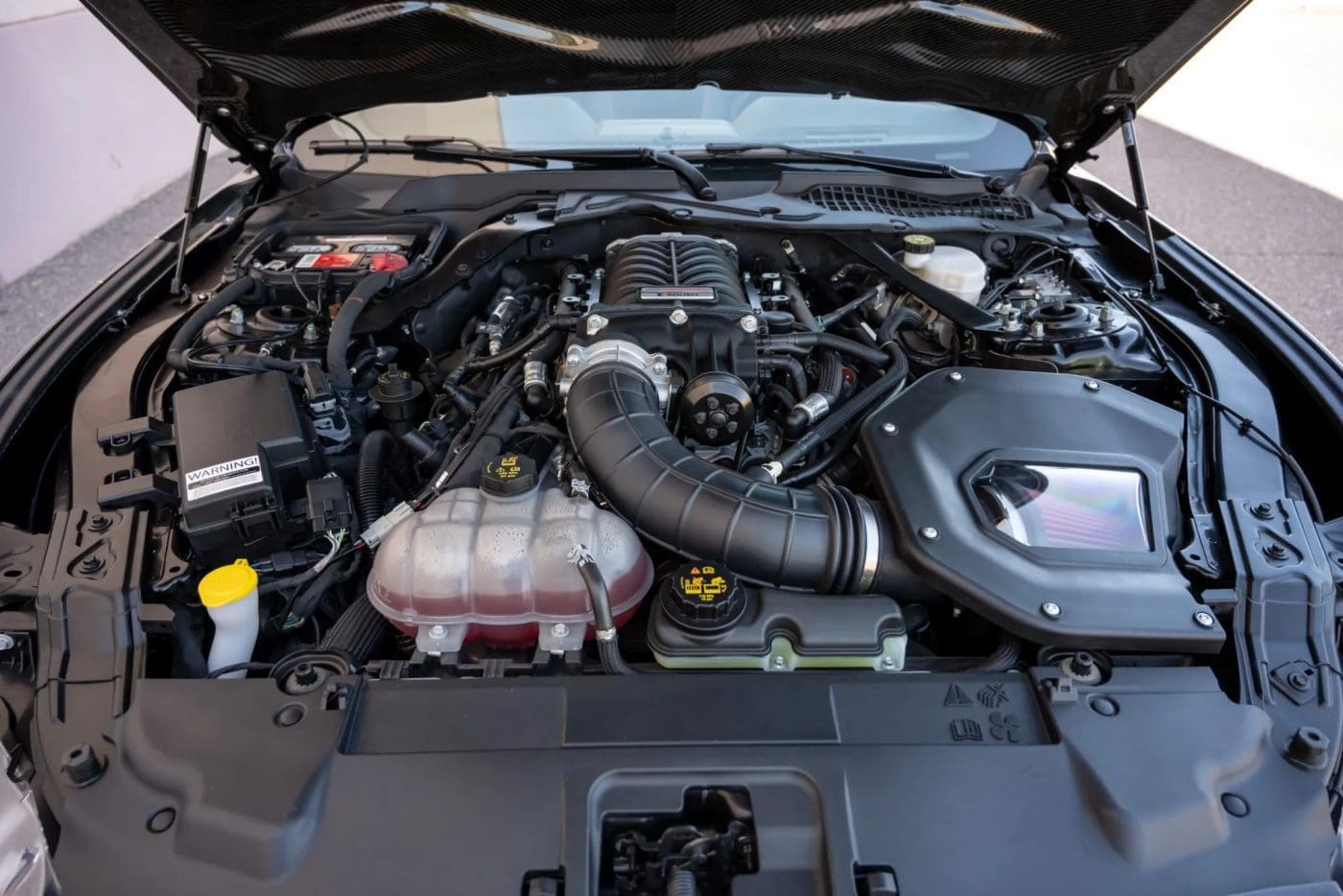 Mustang Of The Day: 2019 Ford Mustang Revenge GT Convertible - Mustang ...