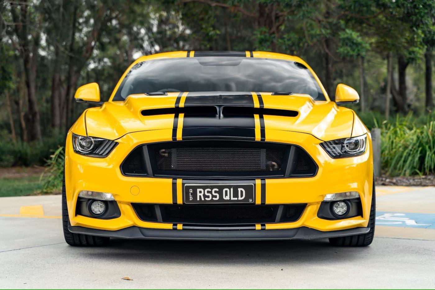 Mustang Of The Day: Modified 2017 Ford Mustang GT - Mustang Specs