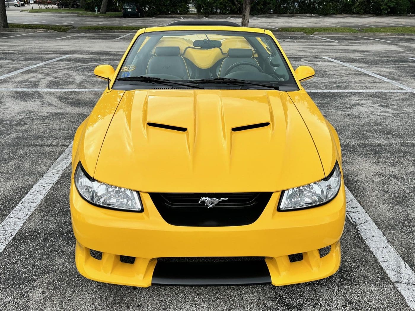 Mustang Of The Day: 1999 Ford Mustang GT Convertible 35th Anniversary ...