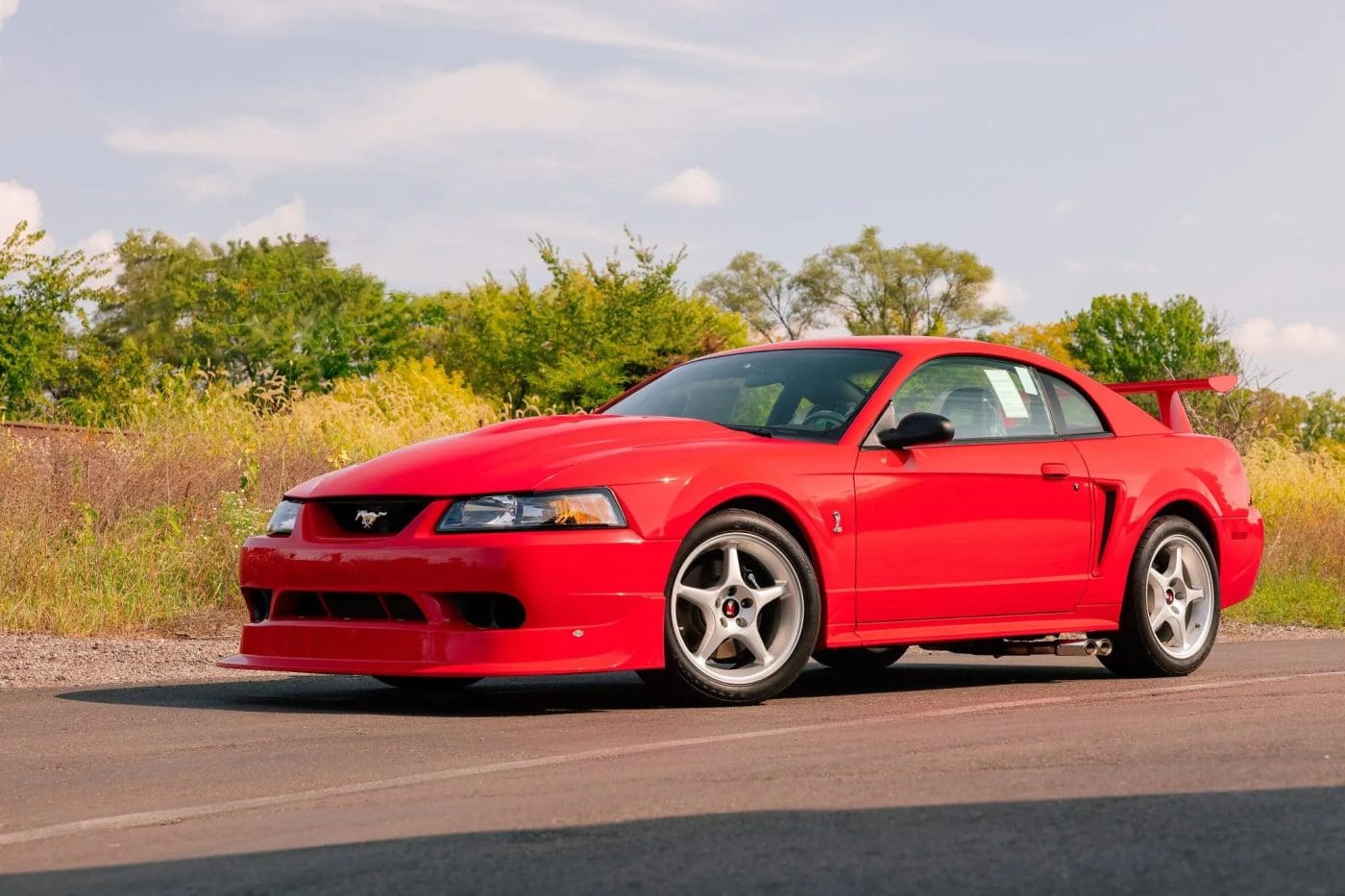 Cobra Mustangs: History, Models & More