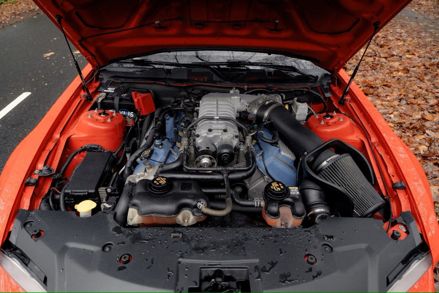 Mustang Of The Day: 2010 Ford Shelby Mustang GT500 - Mustang Specs