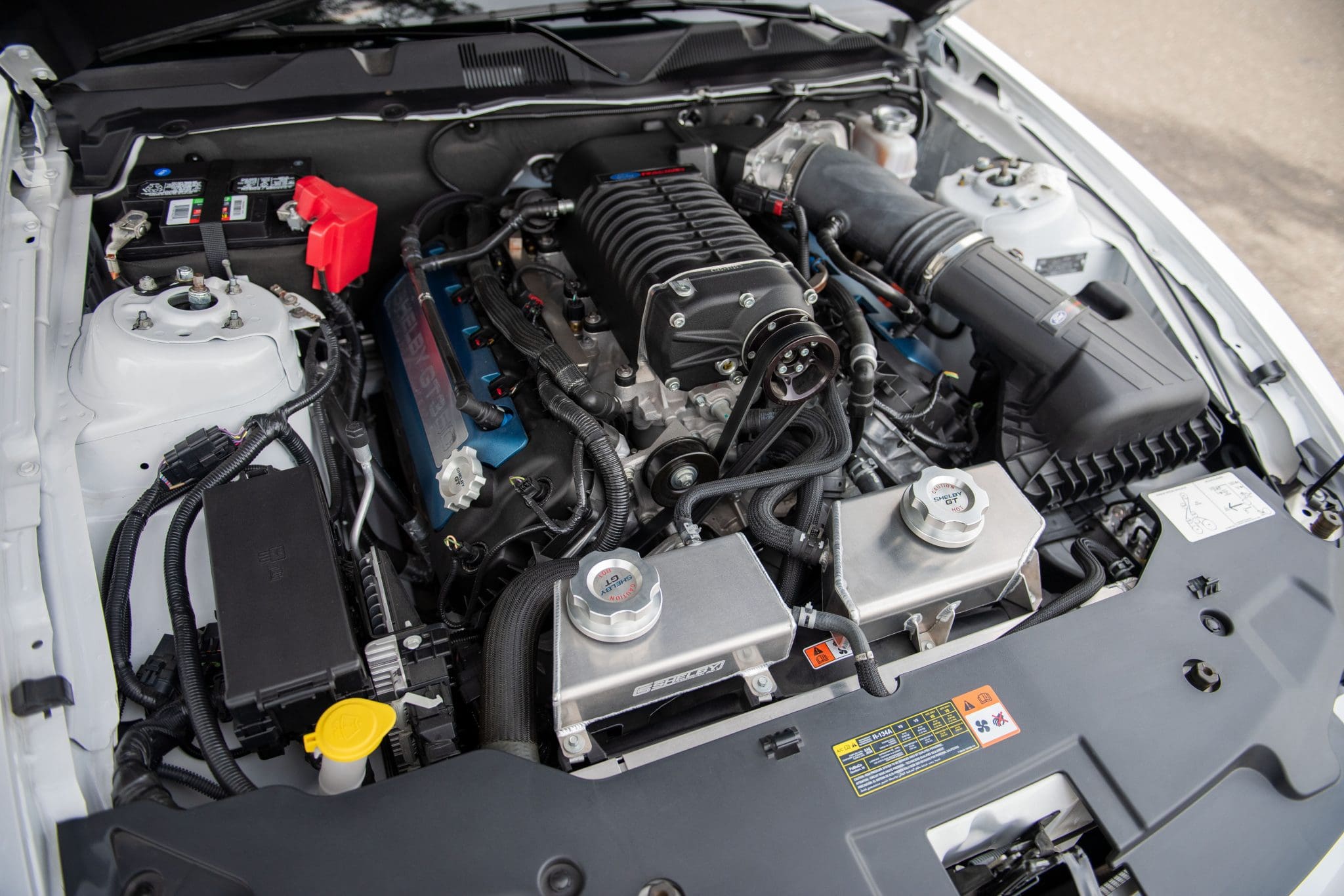 Mustang Of The Day: 2011 Ford Mustang Shelby GT350 - Mustang Specs