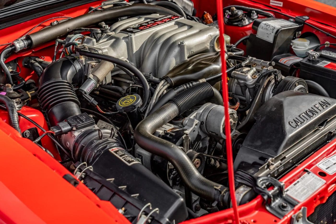 Mustang Of The Day: 1993 Ford Mustang SVT Cobra - Mustang Specs
